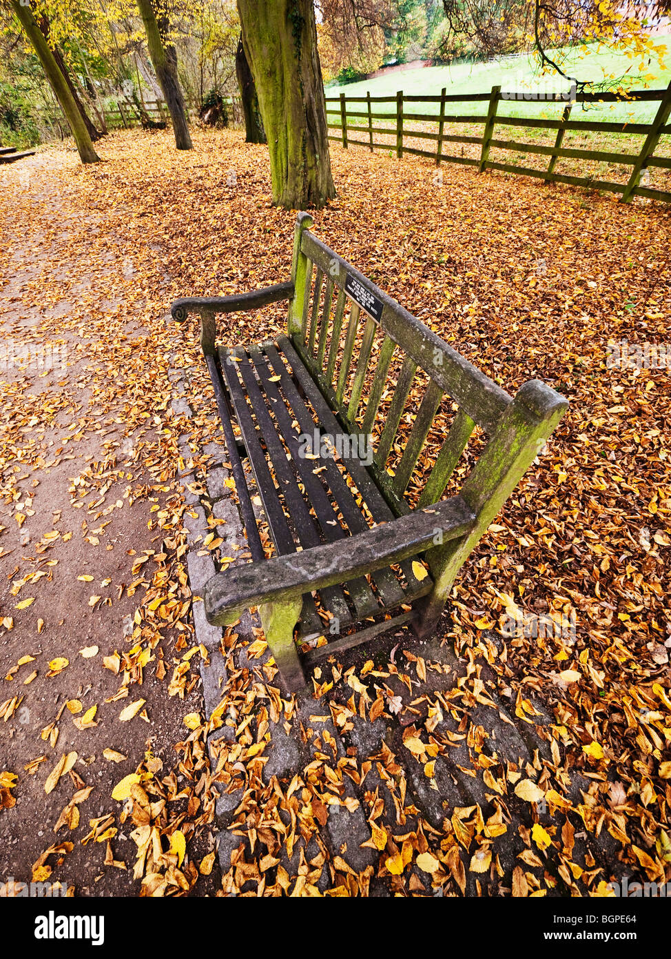a bench in a garden with autumn leaves Stock Photo - Alamy