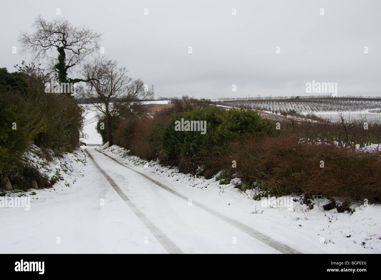 Cold harsh weather hi-res stock photography and images - Alamy