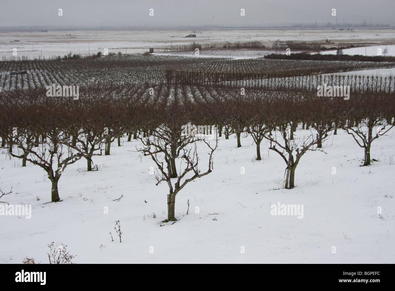 snow winter country scene countryside cold ice Stock Photo - Alamy