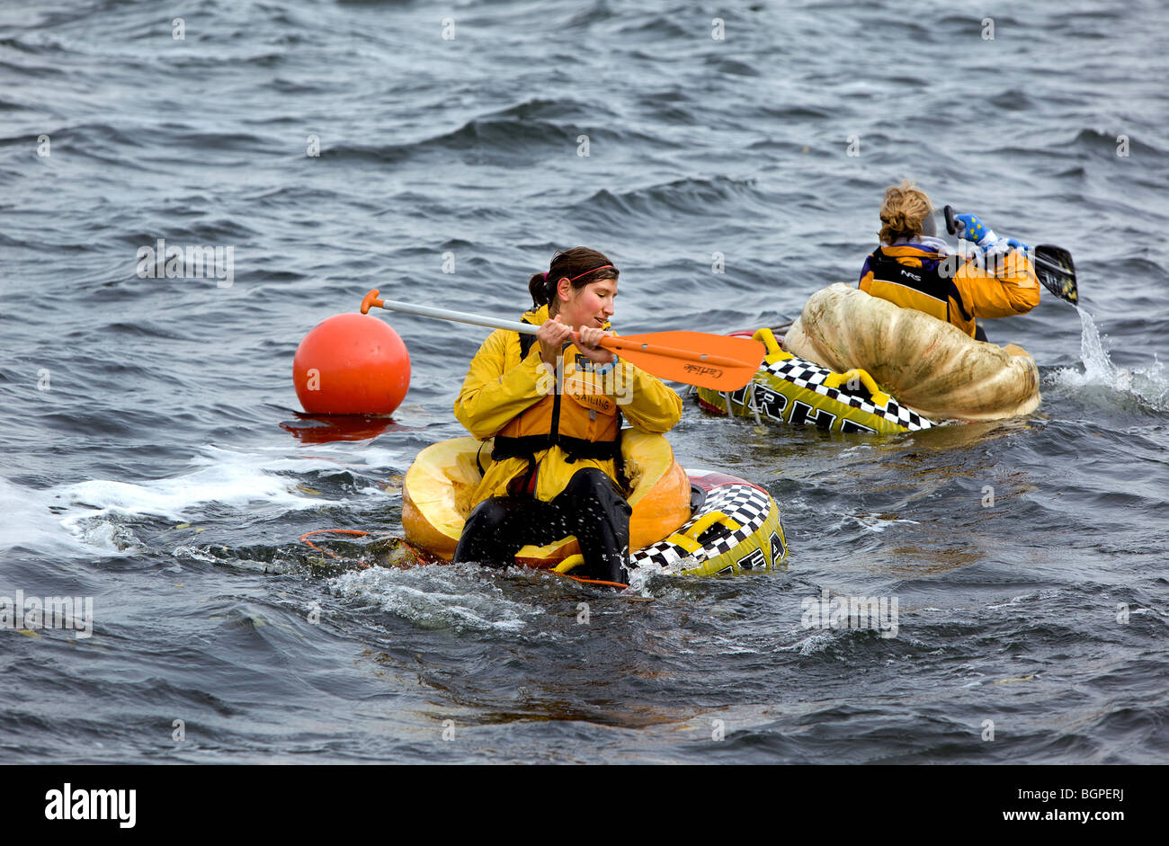 Paddling a pumpkin during a Giant Pumpkin Regatta held in Lake Mendota ...