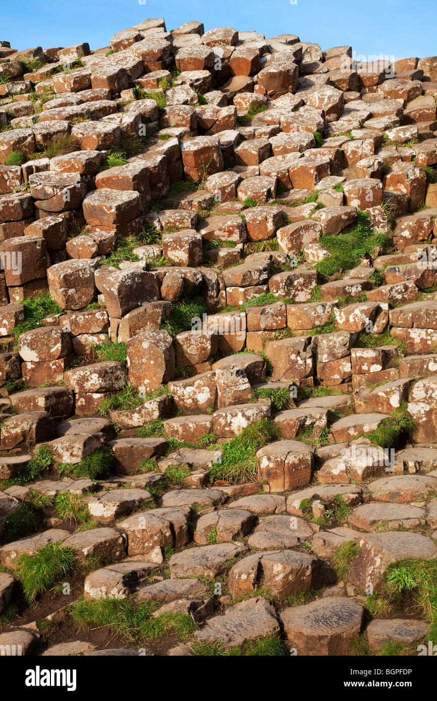 Red basaltic prisms columns at the Giant's Causeway Antrim Northern ...