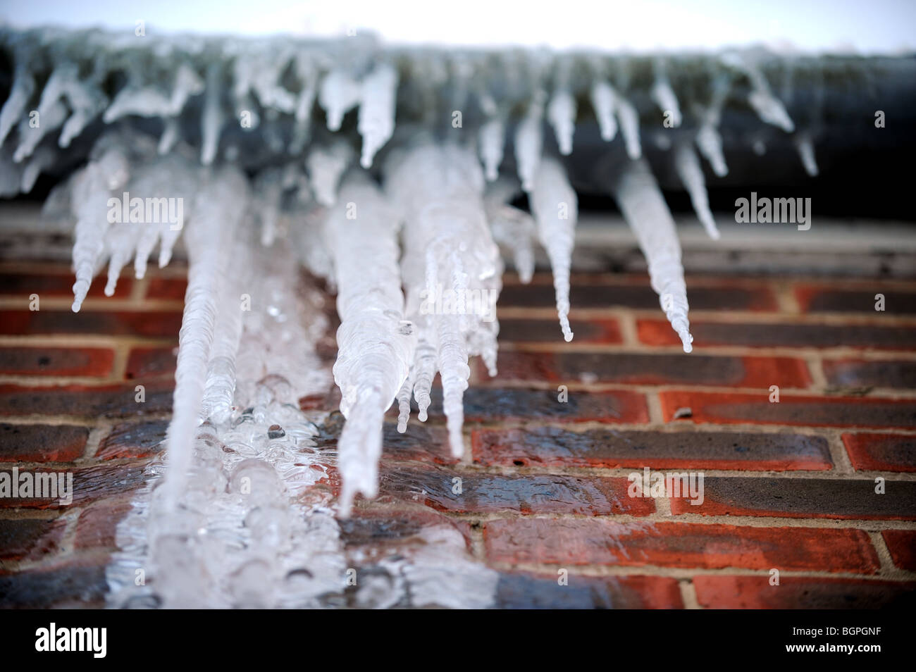 Hanging from gutter hi-res stock photography and images - Alamy