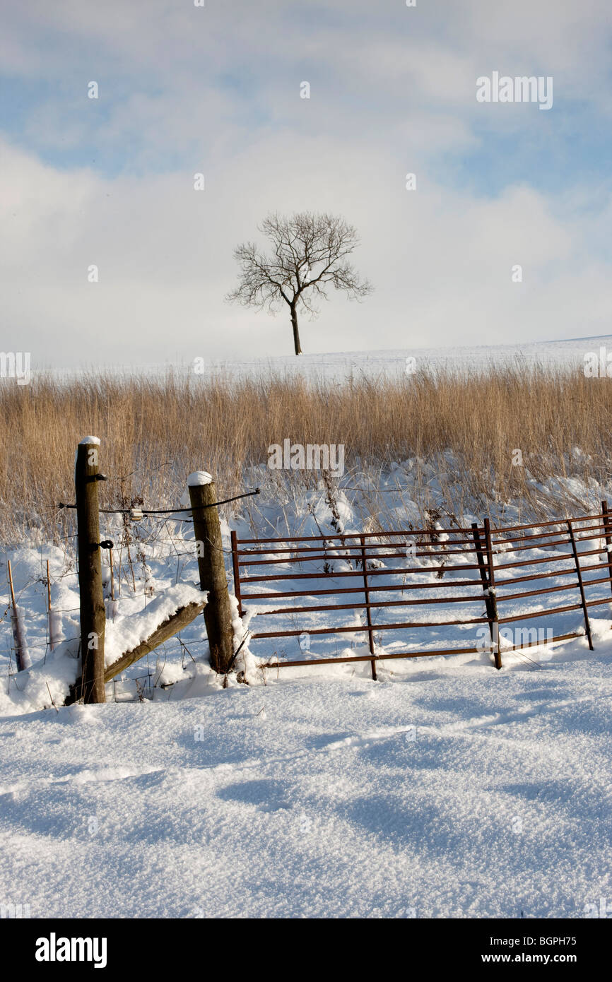 gate in winter snow Stock Photo - Alamy