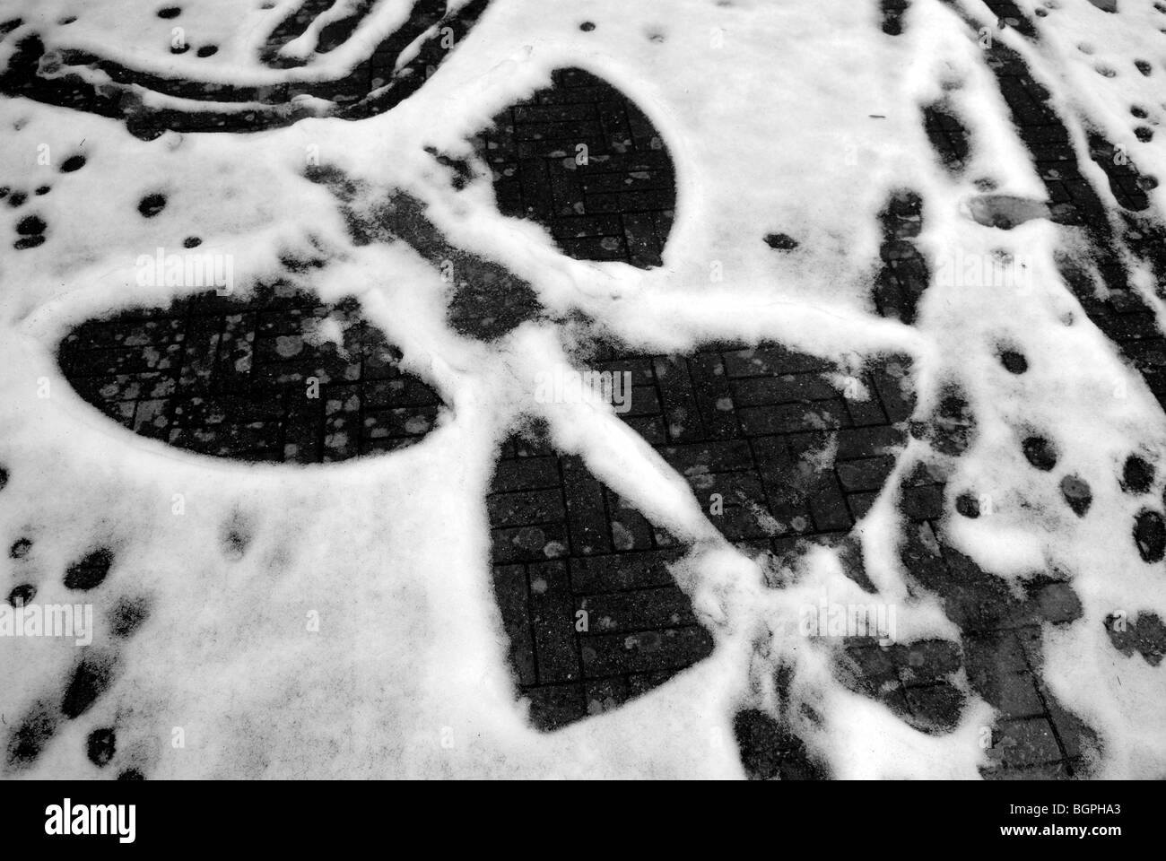 Thawing snow Black and White Stock Photos & Images - Alamy