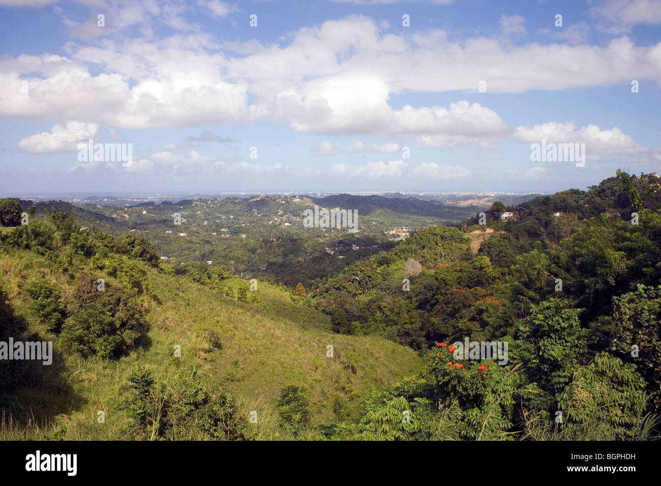 Puerto Rico Landscape Stock Photo - Alamy