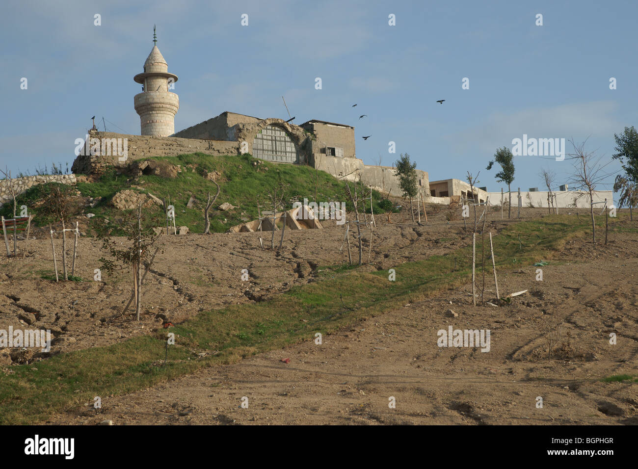 Ajamy ,Al-Ajami,jaffa Port,Israel Stock Photo - Alamy