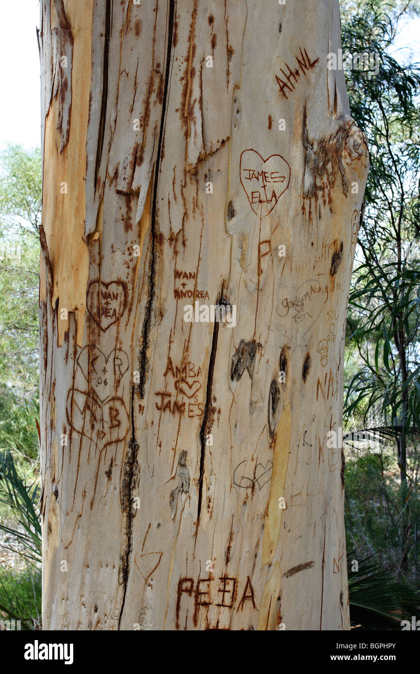 Wood Carvings Tree High Resolution Stock Photography and Images - Alamy