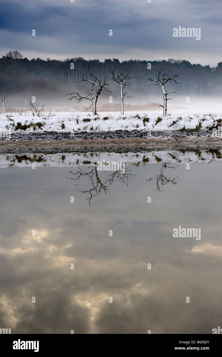 Snow woodbridge hi-res stock photography and images - Alamy