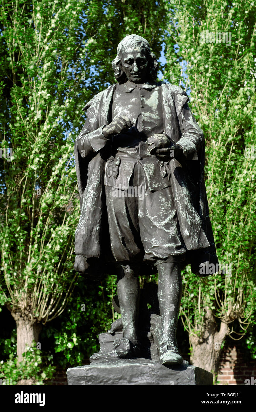 Palfijn hi-res stock photography and images - Alamy