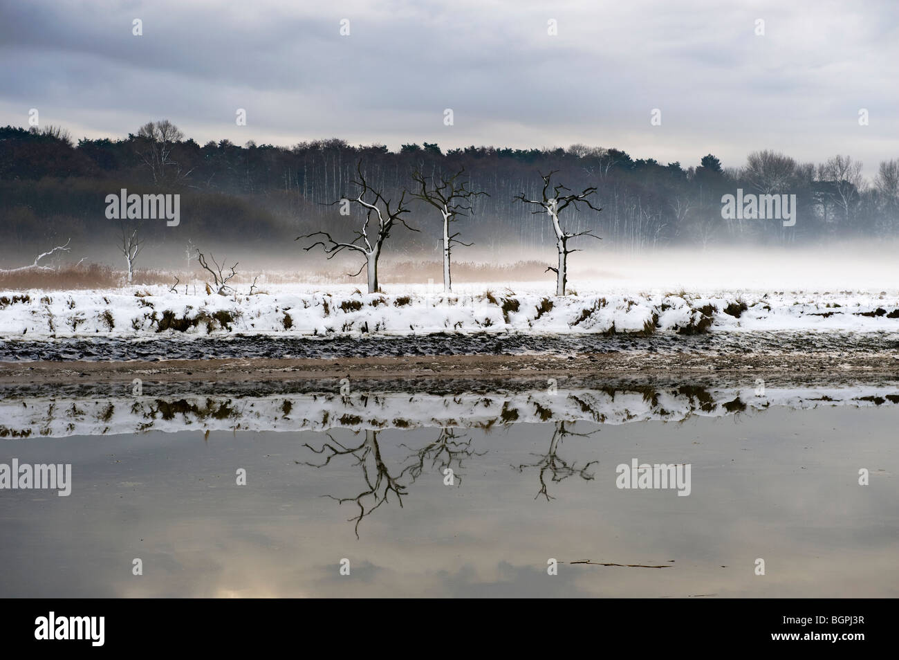 Winter snow Suffolk landscape River Deben Woodbridge Melton Suffolk UK ...