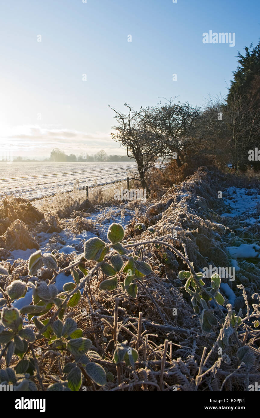 Suffolk landscape hi-res stock photography and images - Alamy