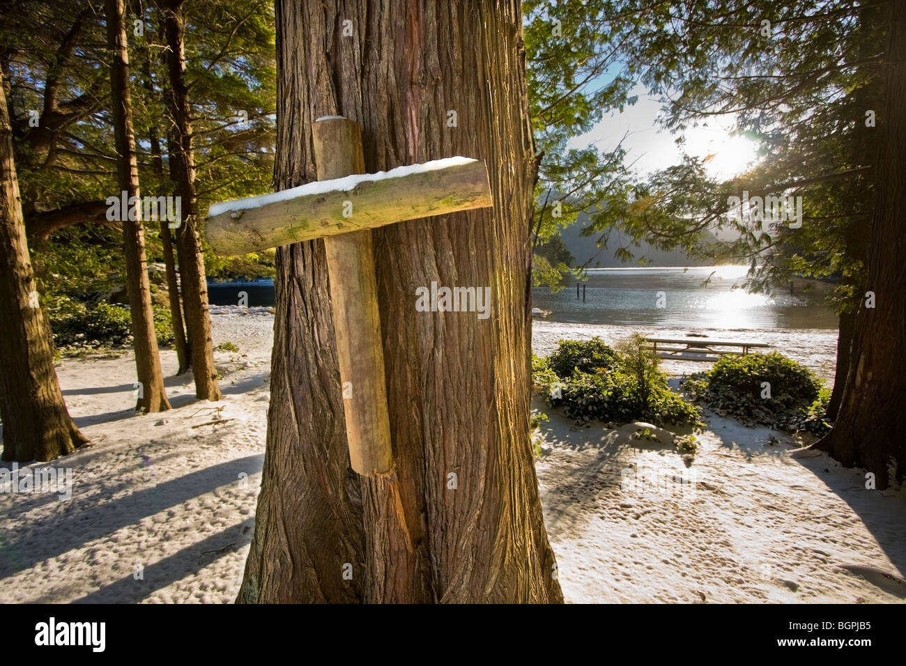 Wooden cross on a tree Stock Photo - Alamy