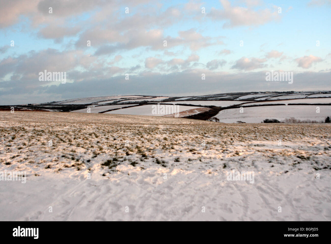 Snowy fields in devon january 2010 Stock Photo - Alamy