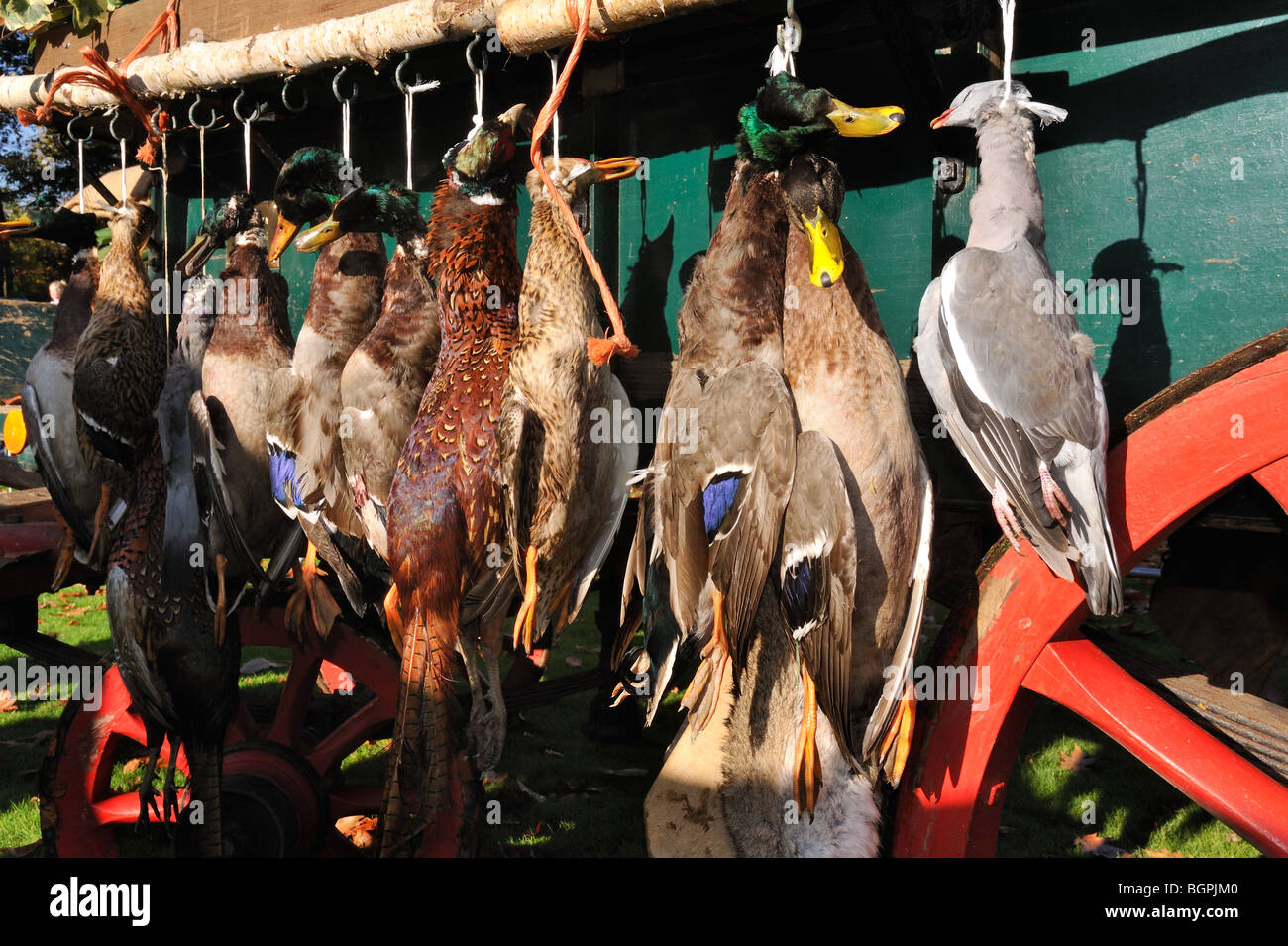 Hunting Game Carrier
