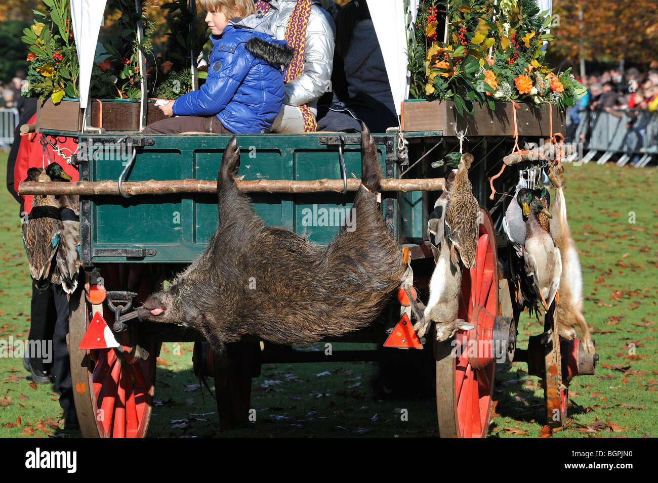 Dead pig cart hi-res stock photography and images - Alamy