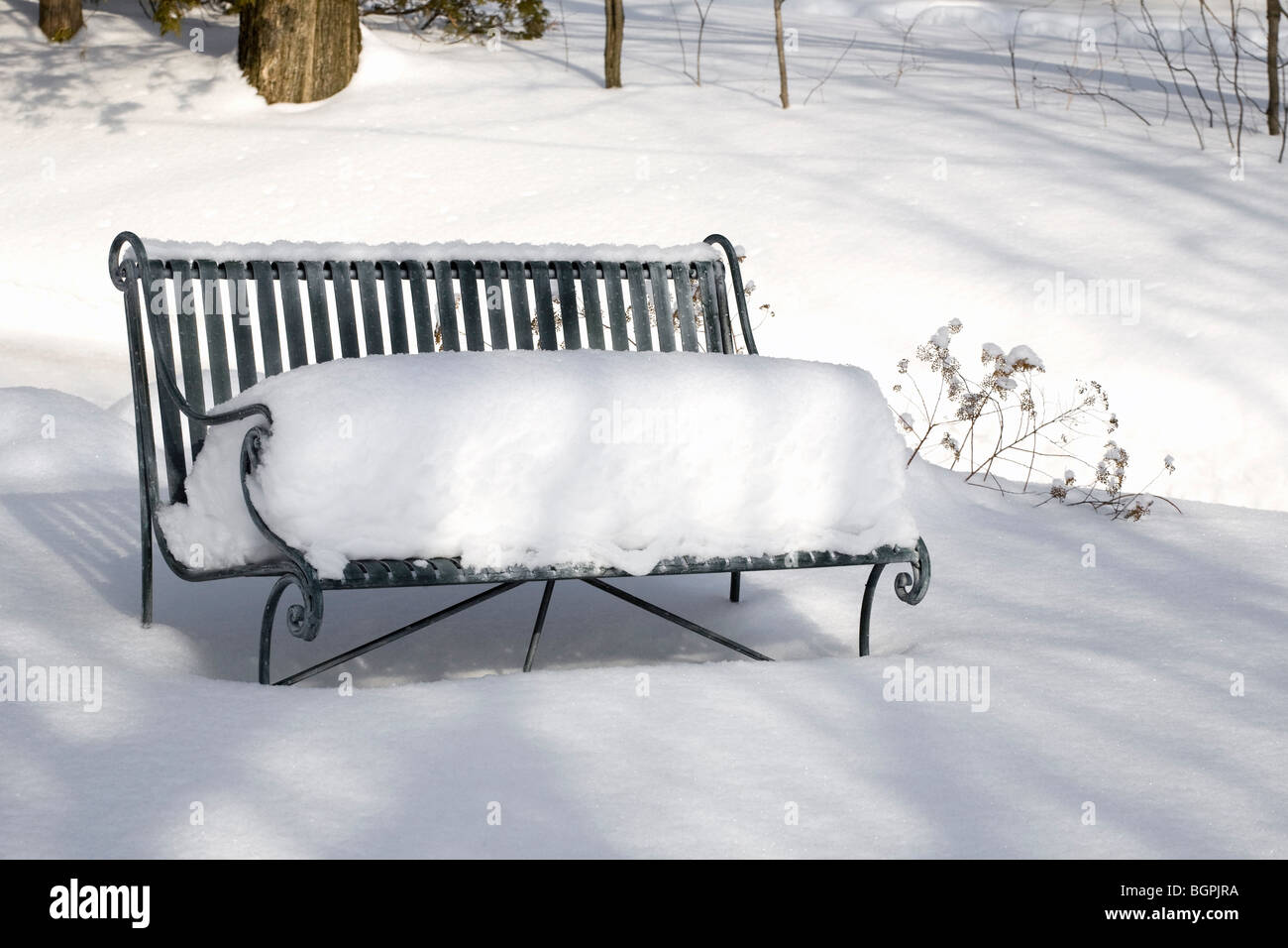 Canada snowfalls hi-res stock photography and images - Alamy