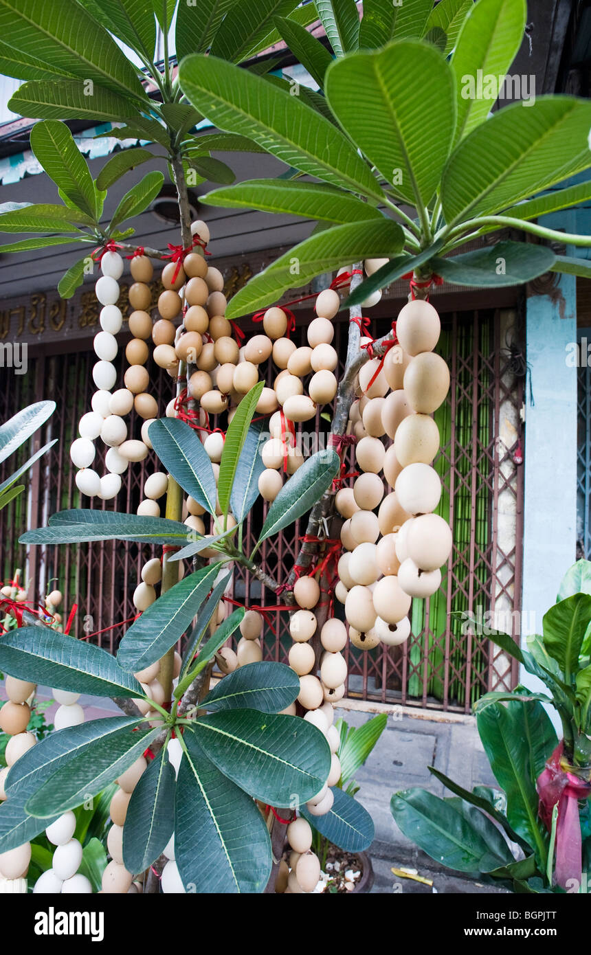 Decorated tree by eggshell, china town, bangkok, Thailand Stock Photo ...
