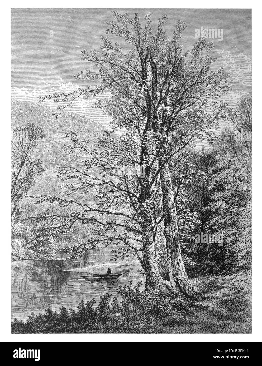 Sunny banks Black and White Stock Photos & Images - Alamy