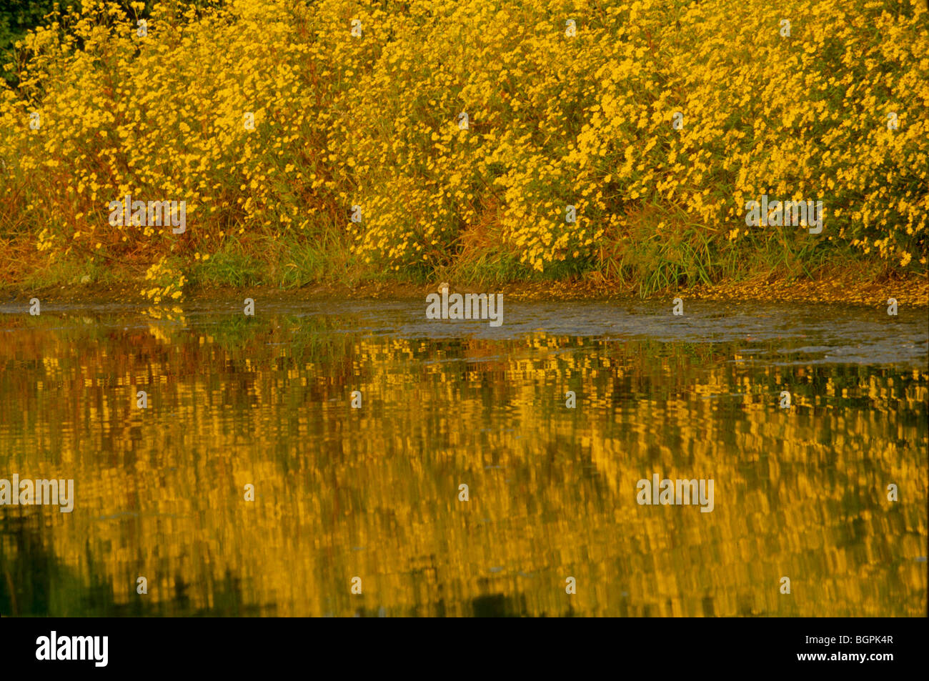Horizontal color colour midwestern midwest usa hi-res stock photography ...