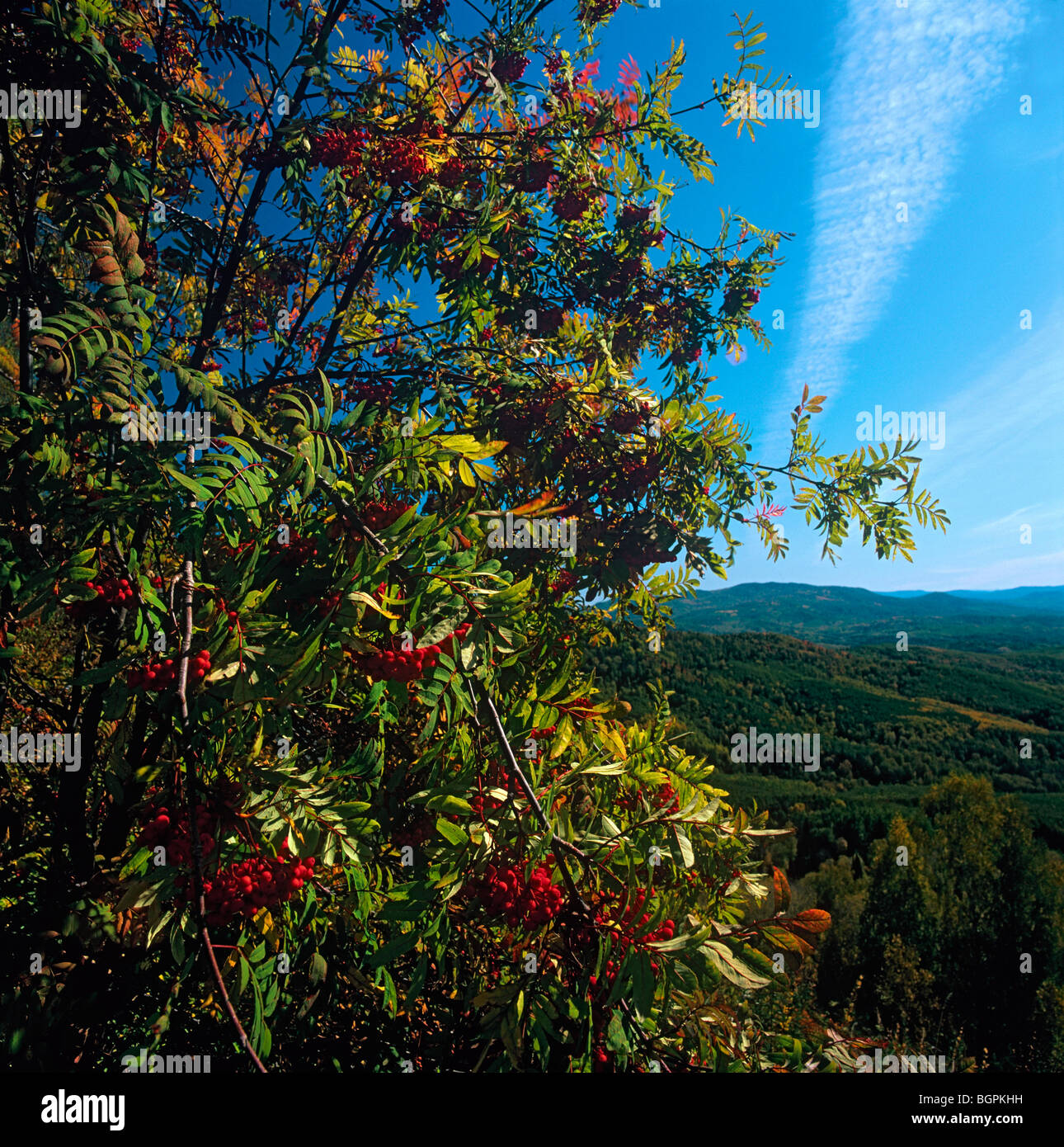 High ash mountains hi-res stock photography and images - Alamy