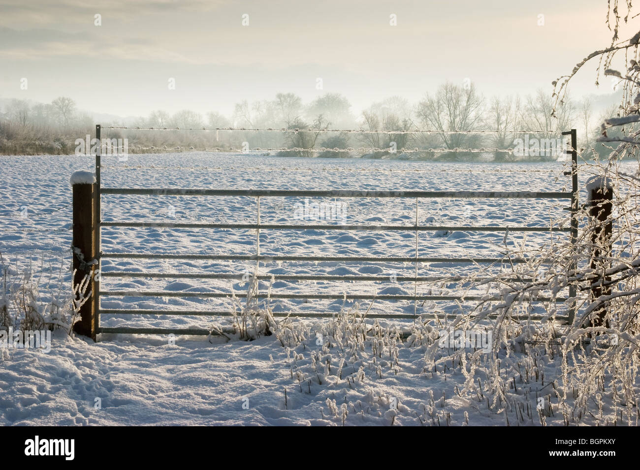 Wintry conditions hi-res stock photography and images - Alamy