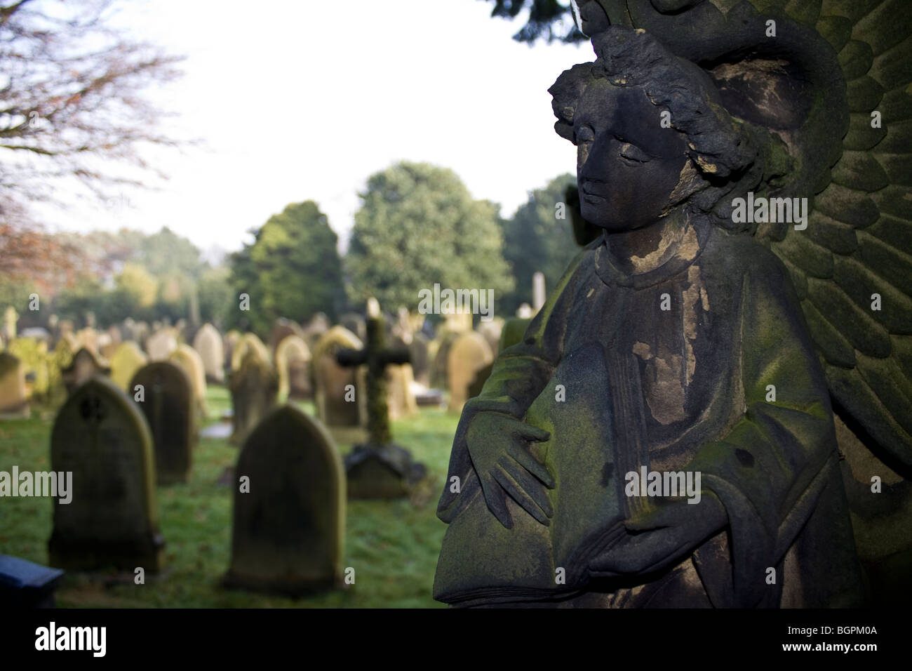 Gravestone memorial hi-res stock photography and images - Alamy