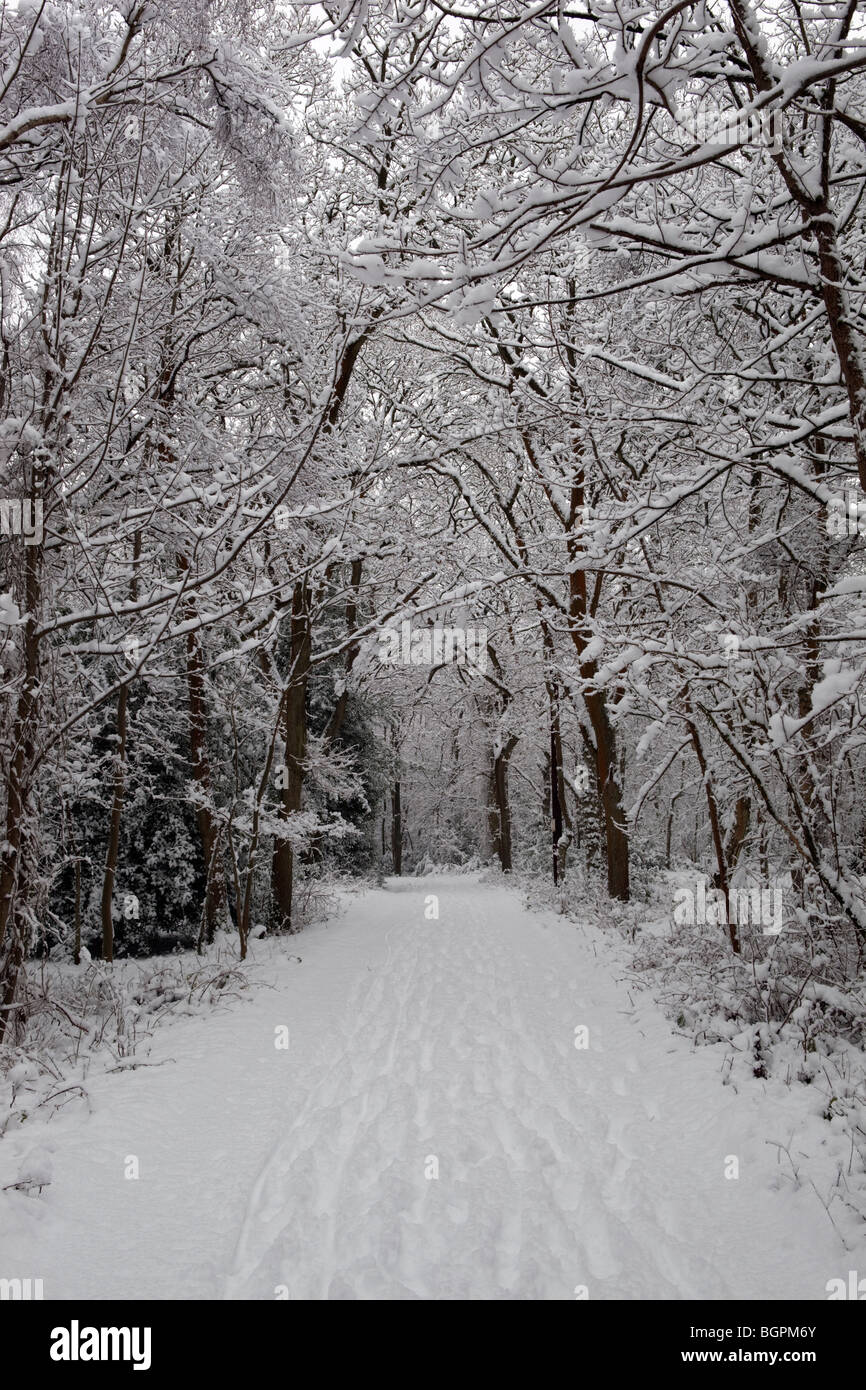 country lane in snow Stock Photo - Alamy