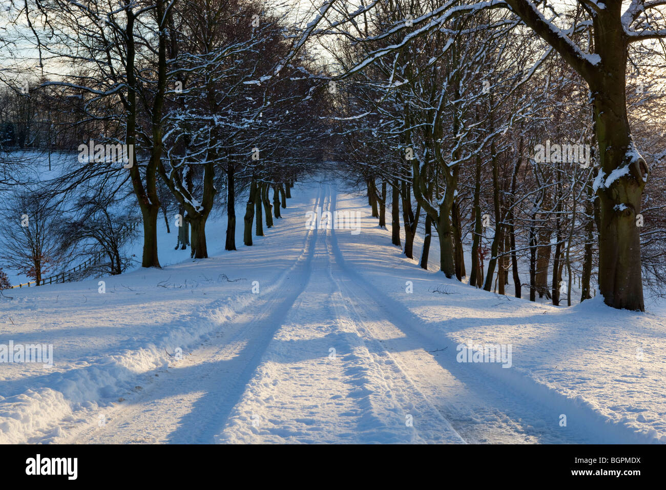 Snowy Lane High Resolution Stock Photography and Images - Alamy