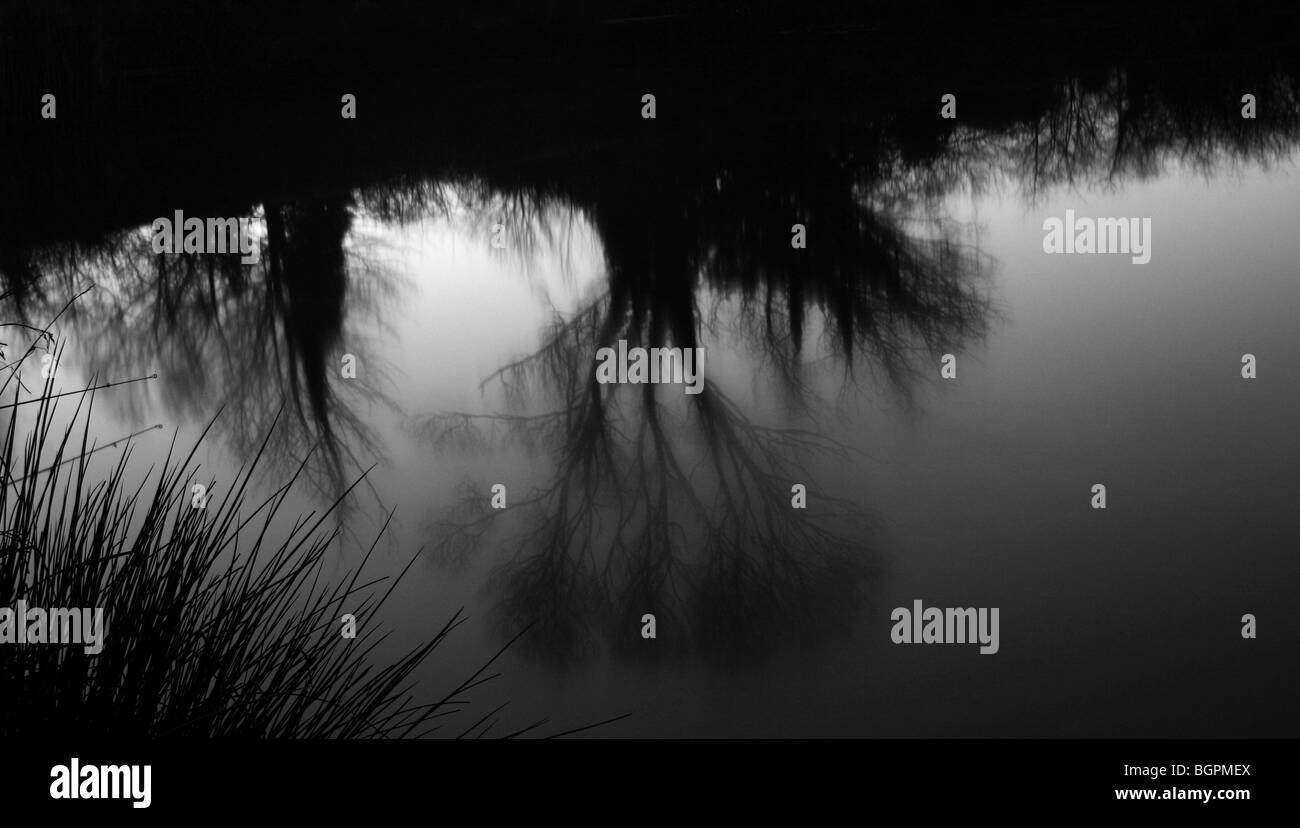 reflection in lake Stock Photo - Alamy