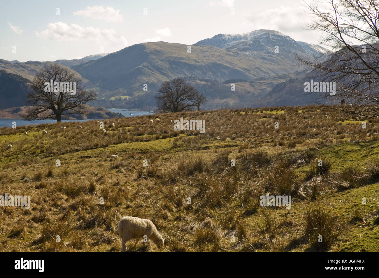 Early spring day in the Lake District National Park Stock Photo - Alamy