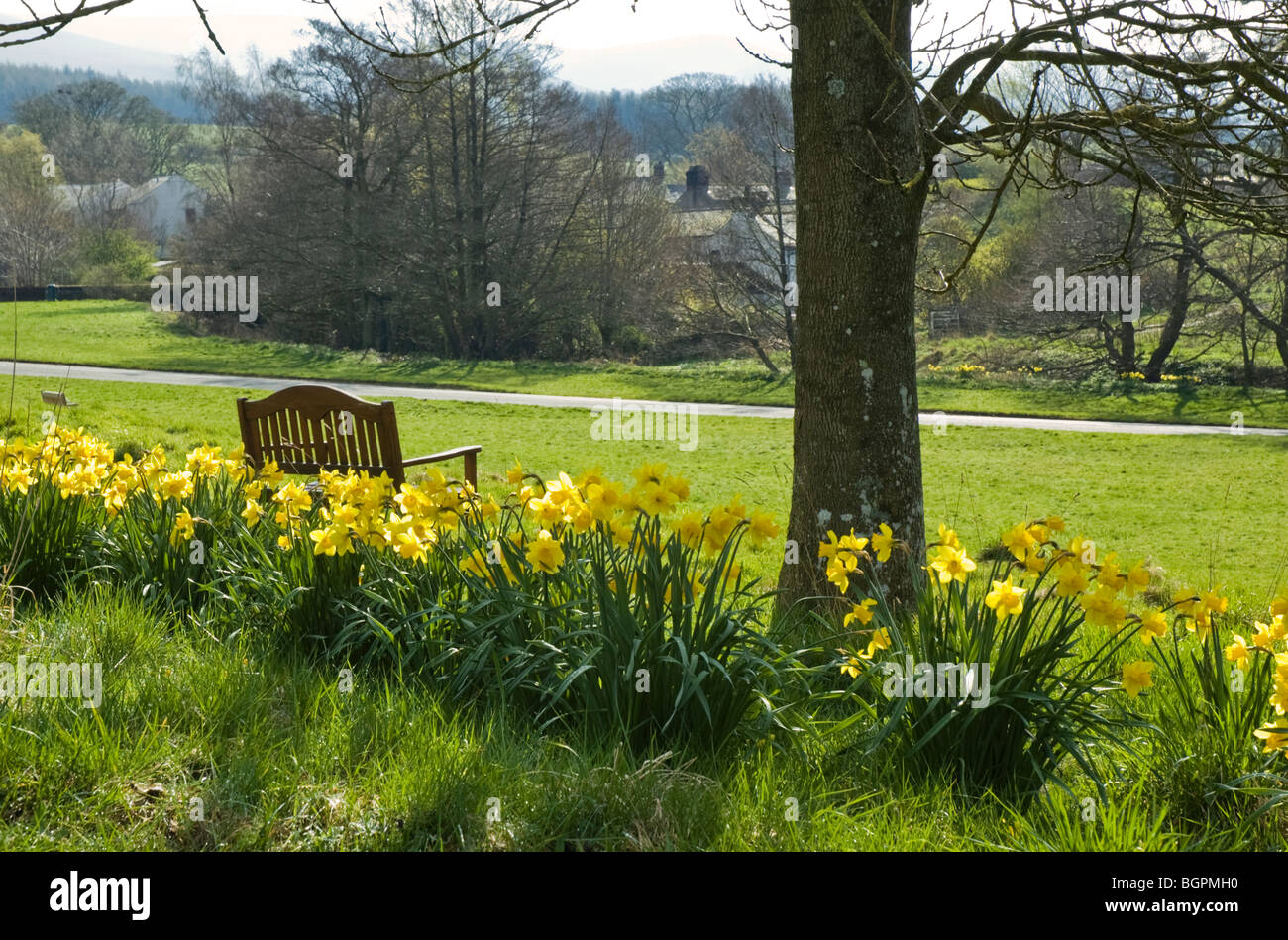 A village green in spring Stock Photo - Alamy