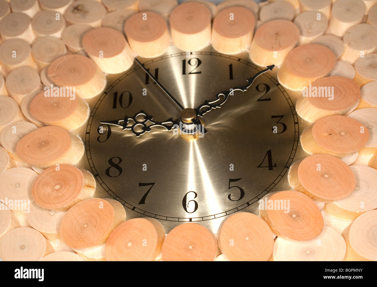 Juniper ordinary hi-res stock photography and images - Alamy