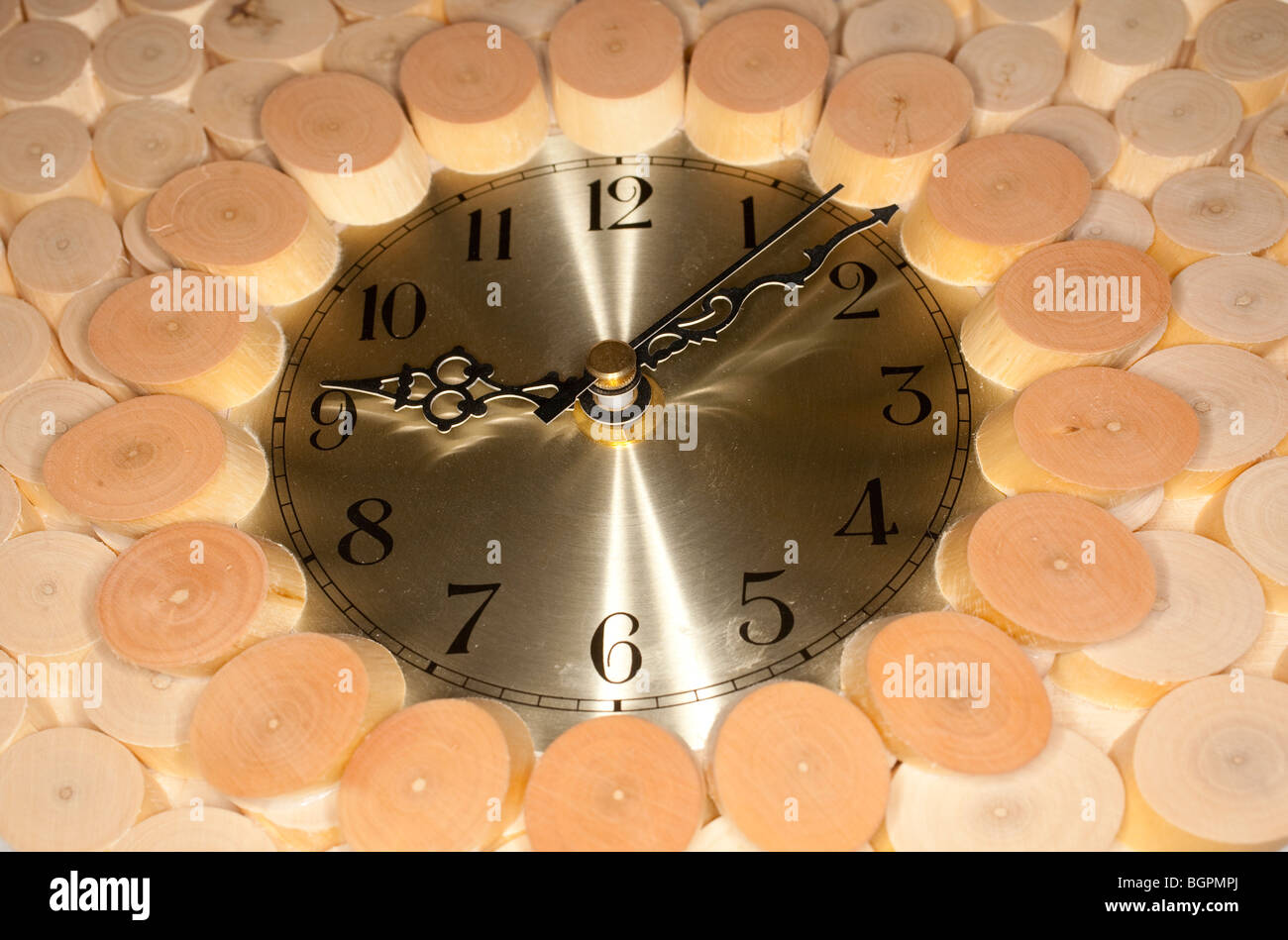 Juniper ordinary hi-res stock photography and images - Alamy