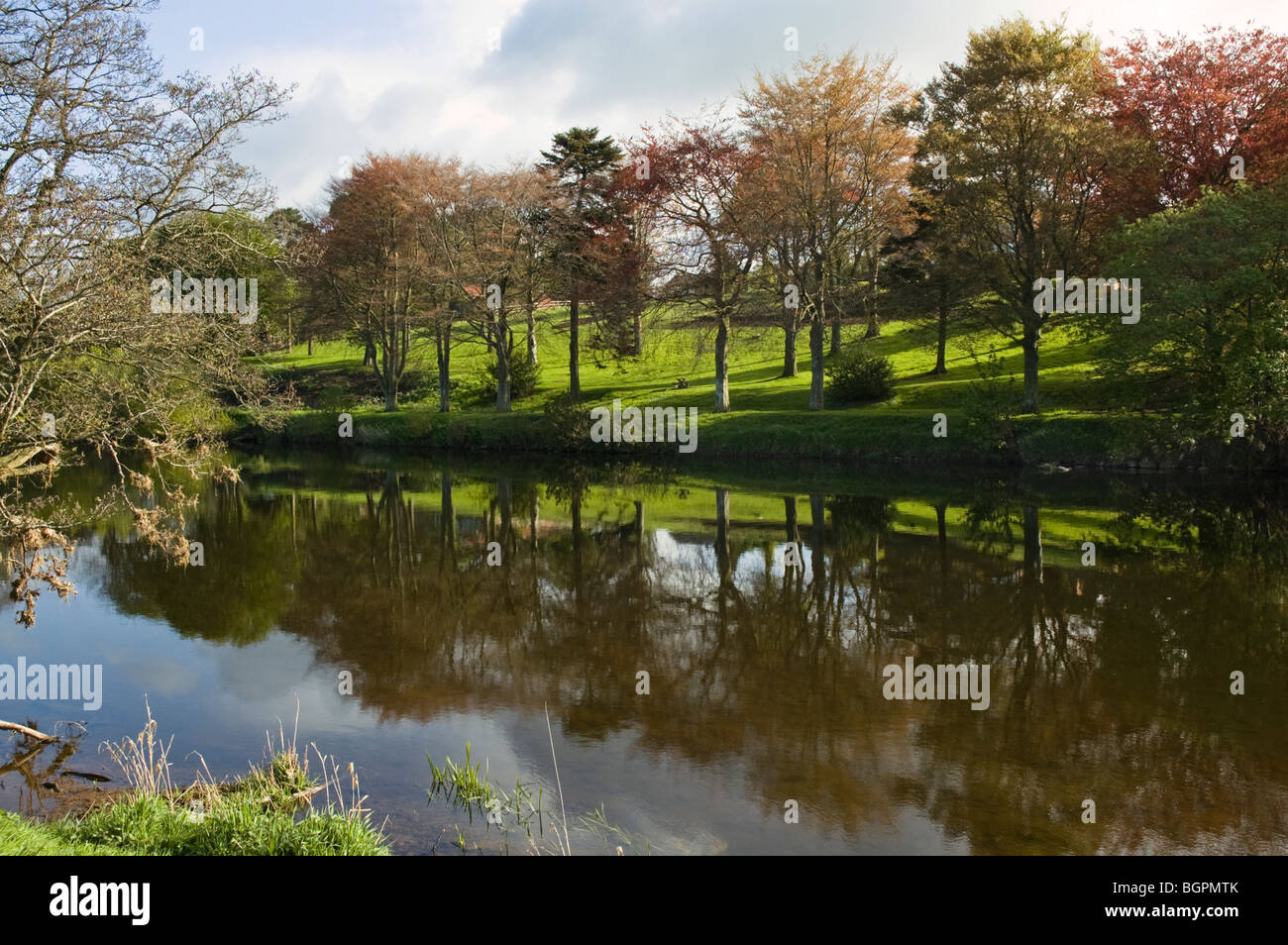 Banks of river eden hi-res stock photography and images - Alamy