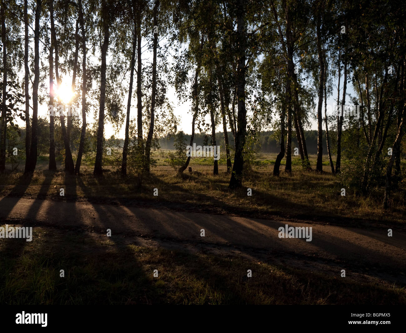 Lublinek hi-res stock photography and images - Alamy