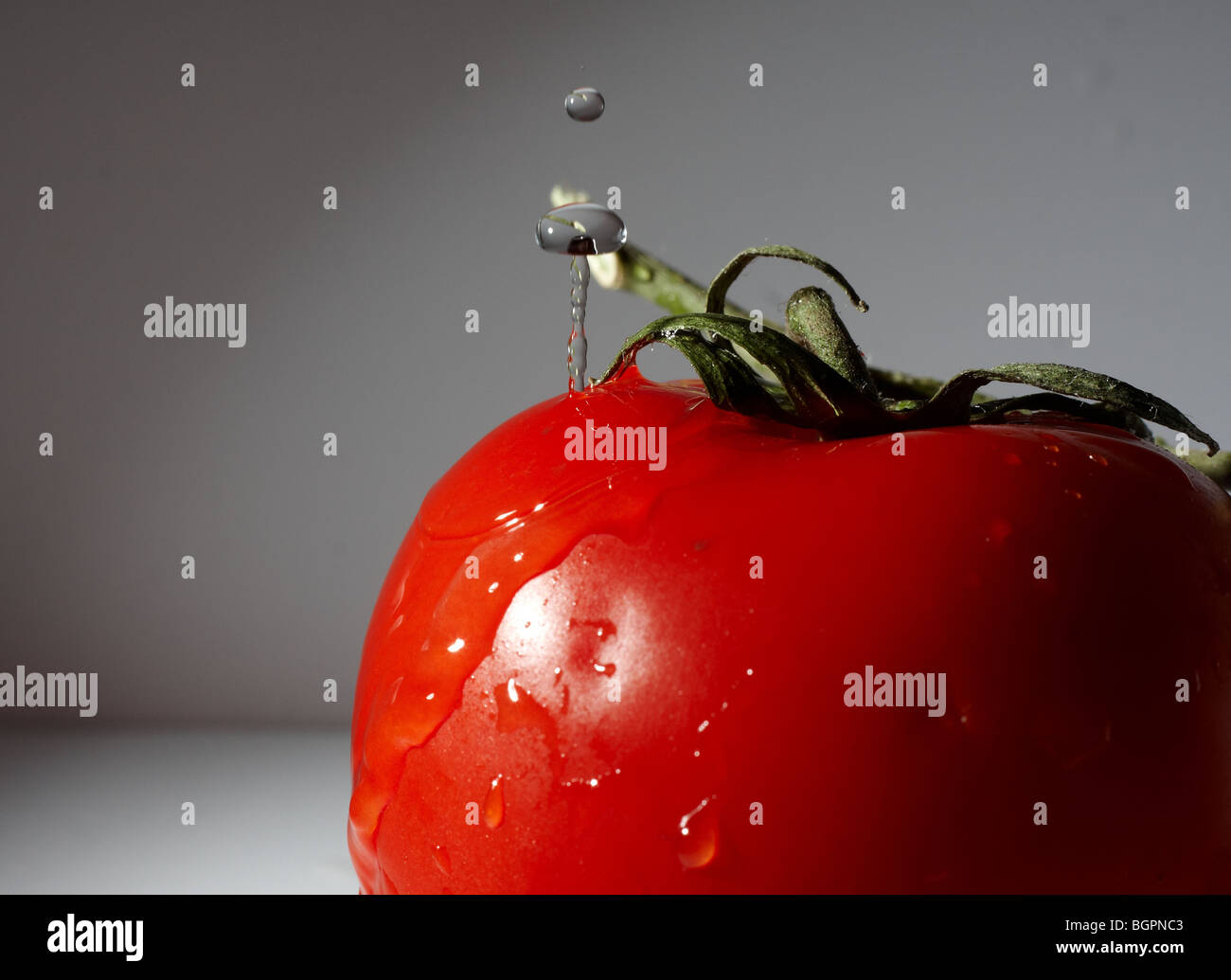 Red tomato with a water drop splash Stock Photo - Alamy