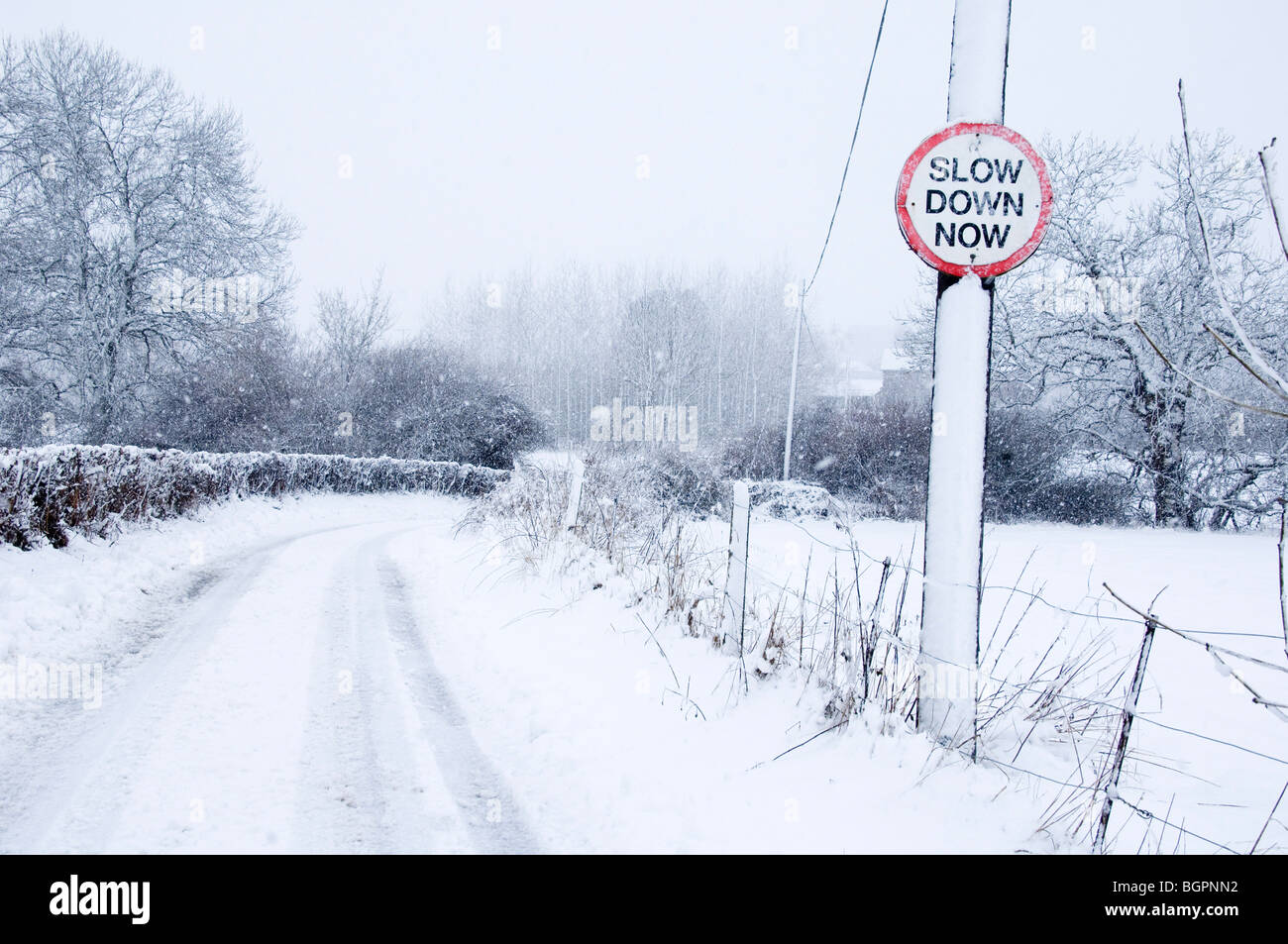 Lane covered in snow hi-res stock photography and images - Alamy