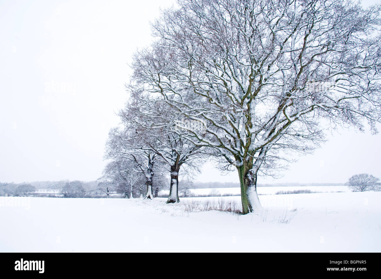 Sussex countryside snow hi-res stock photography and images - Alamy