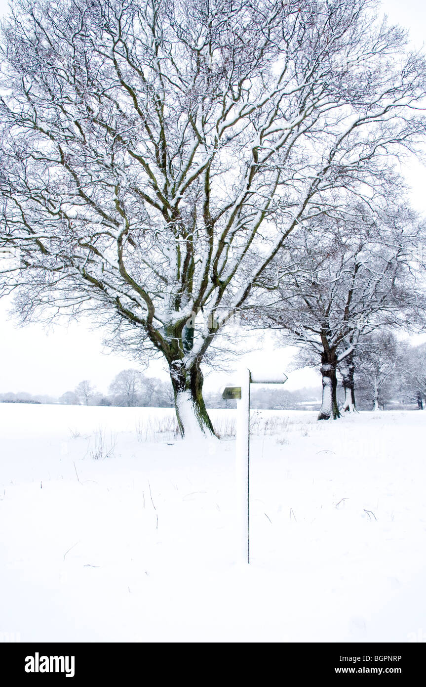 Ice covered footpath hi-res stock photography and images - Alamy