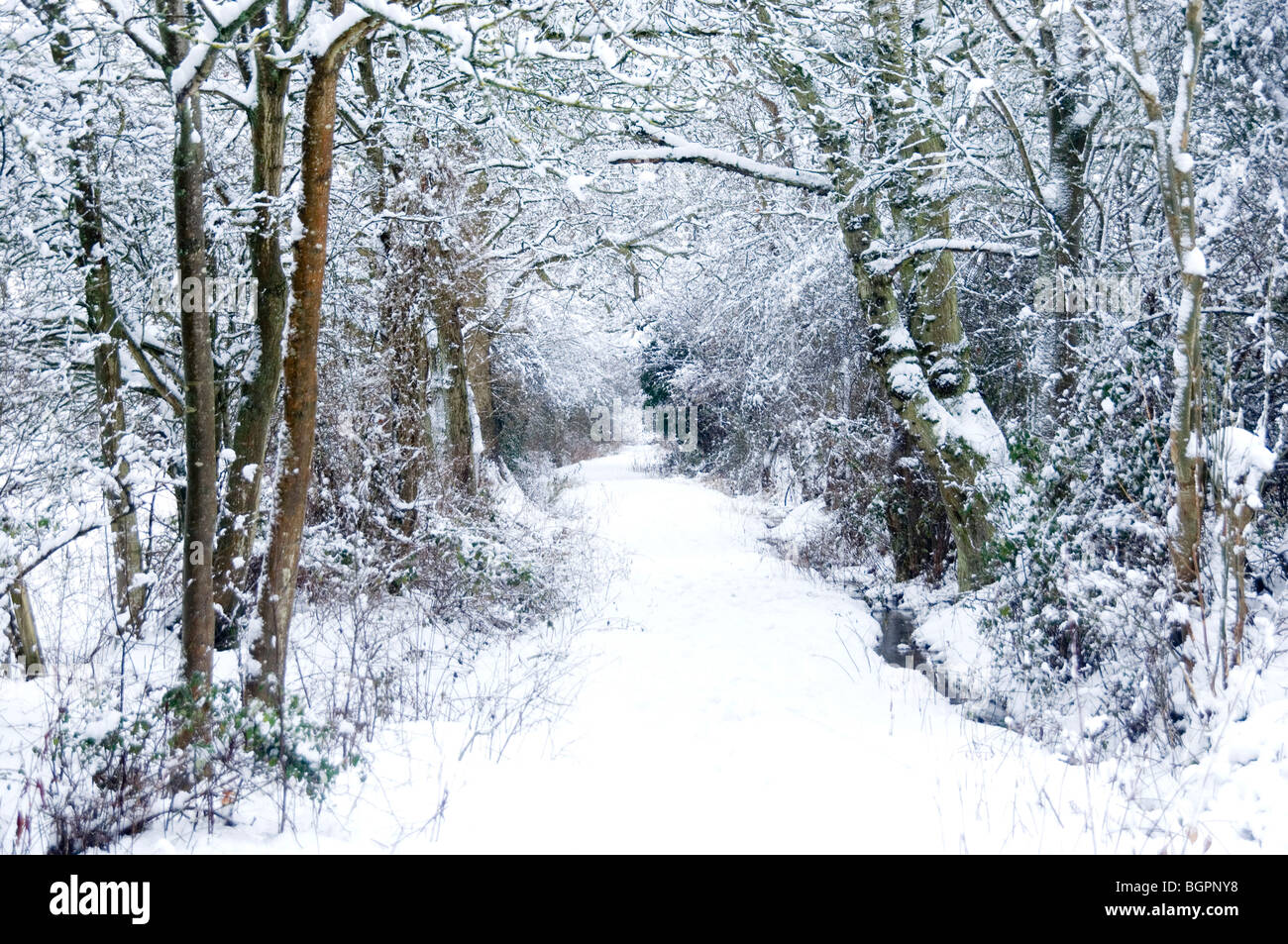 Lane covered in snow hi-res stock photography and images - Alamy