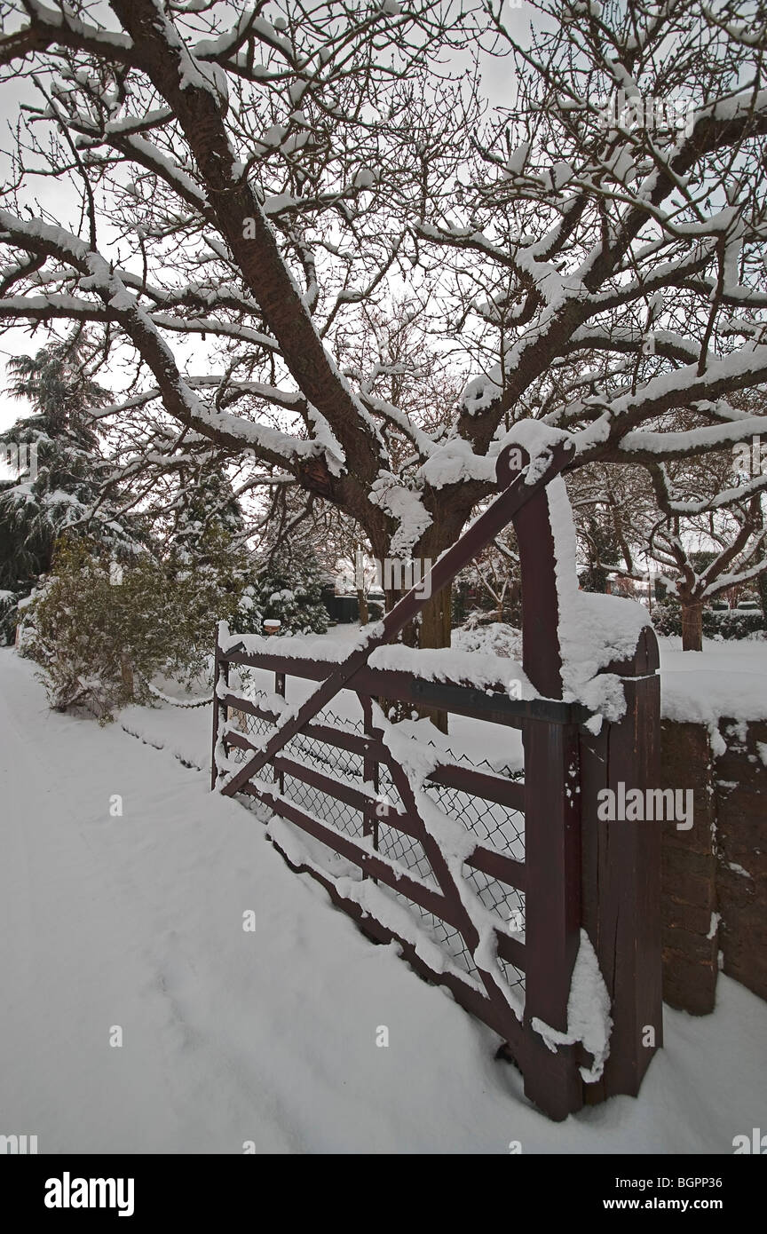 A five bar gate covered in snow with a snow laden tree and garden Stock ...
