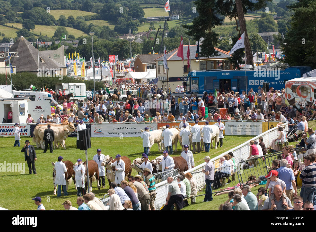 Crowds At The Royal Welsh Show Stock Photo - Alamy