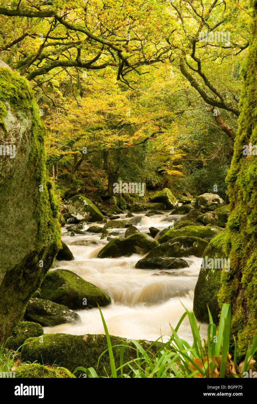 Fast flowing river rocks trees hi-res stock photography and images - Alamy
