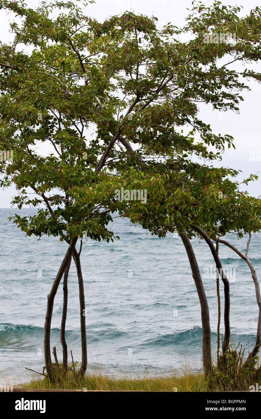 View of beautiful landscape Lake Superior Great Lakes in Michigan USA ...