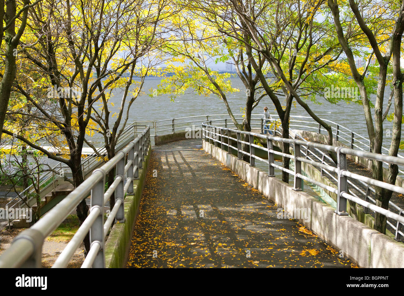 Charles River Esplanade