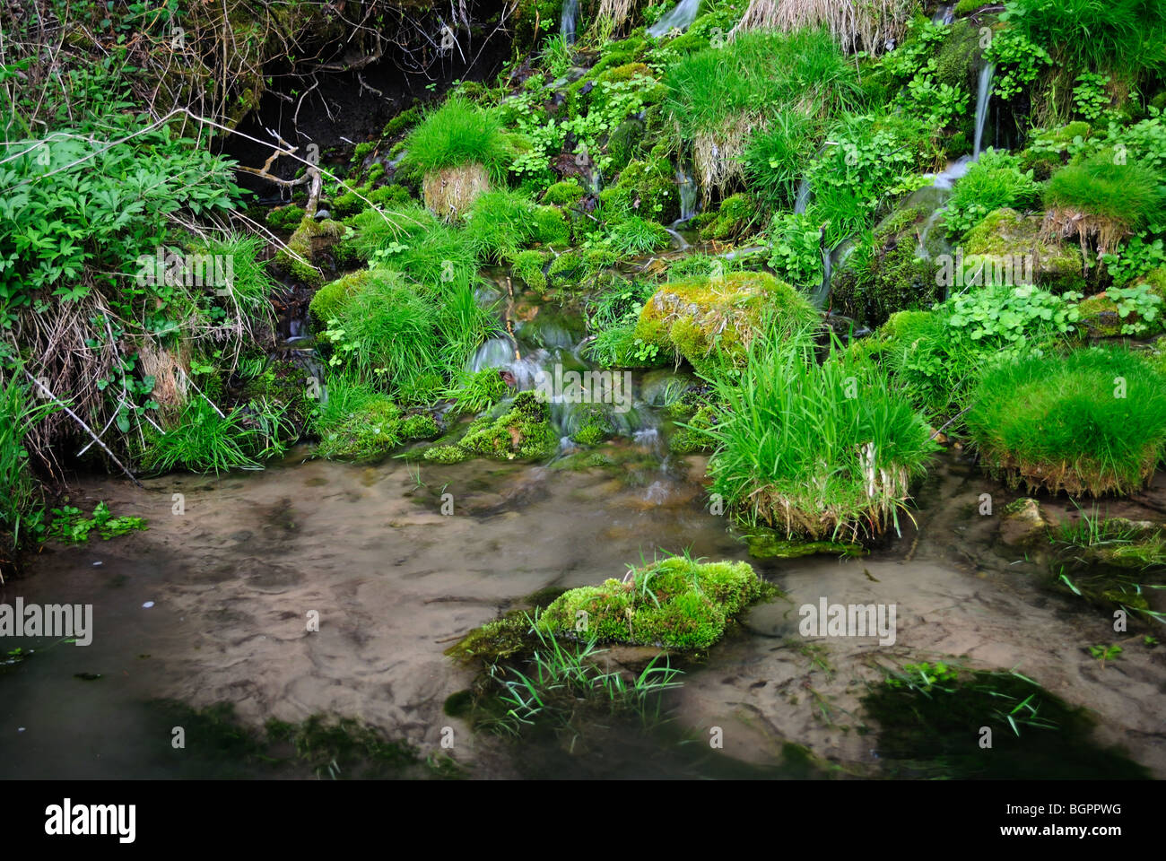 Spring water groundwater hi-res stock photography and images - Alamy