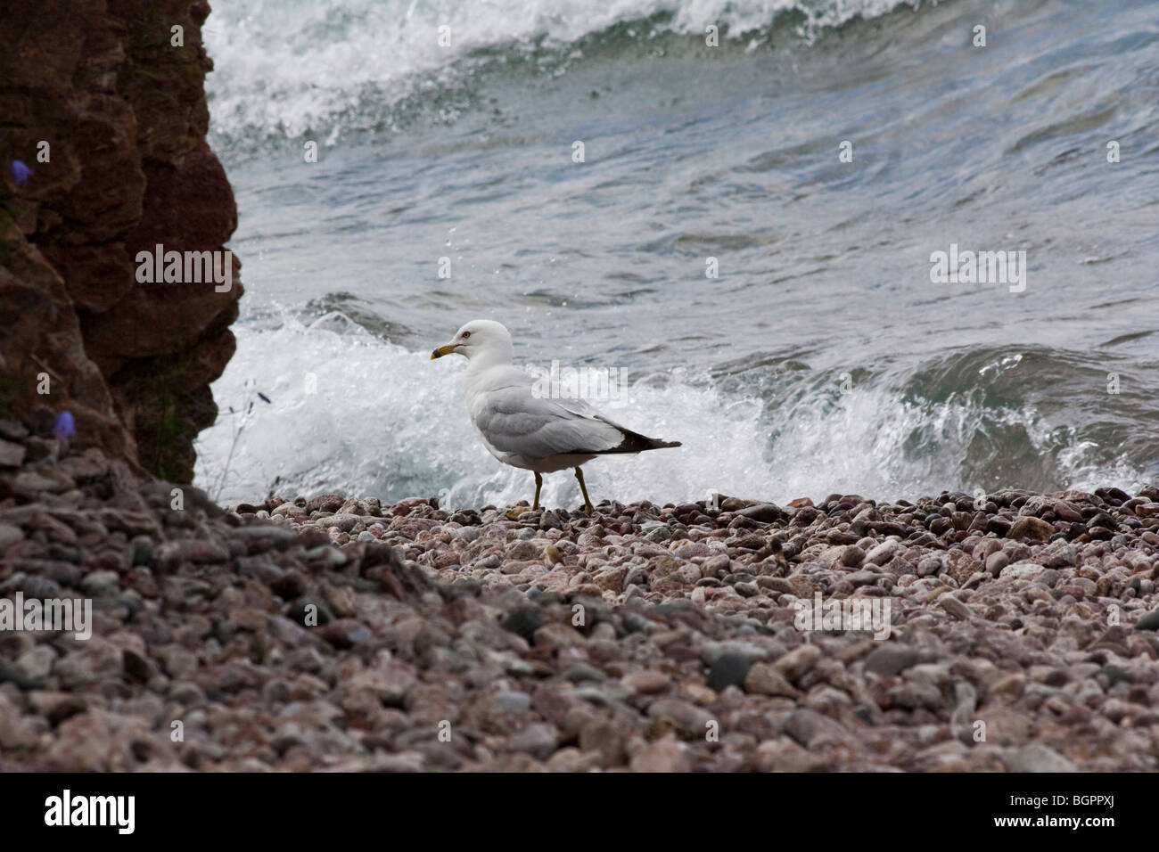 Lake Superior Upper Peninsula Michigan MI USA US United States Great ...