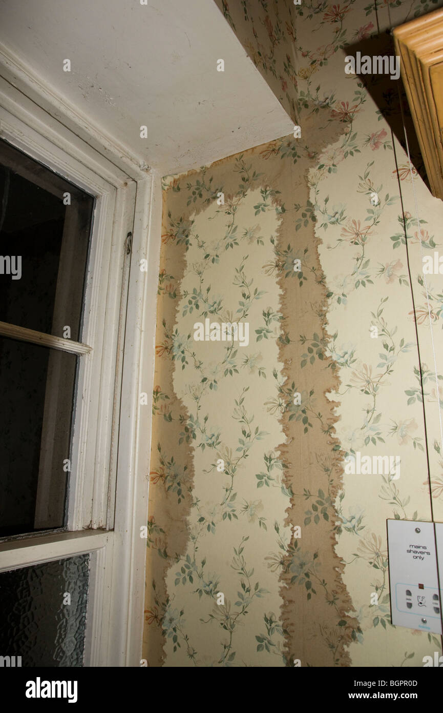 Water damage to wallpaper from snow and ice on house allowing melt ...
