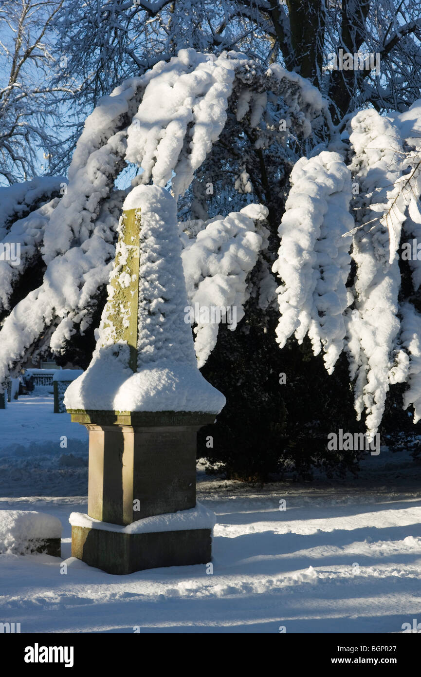 Yew tree in snow hi-res stock photography and images - Alamy