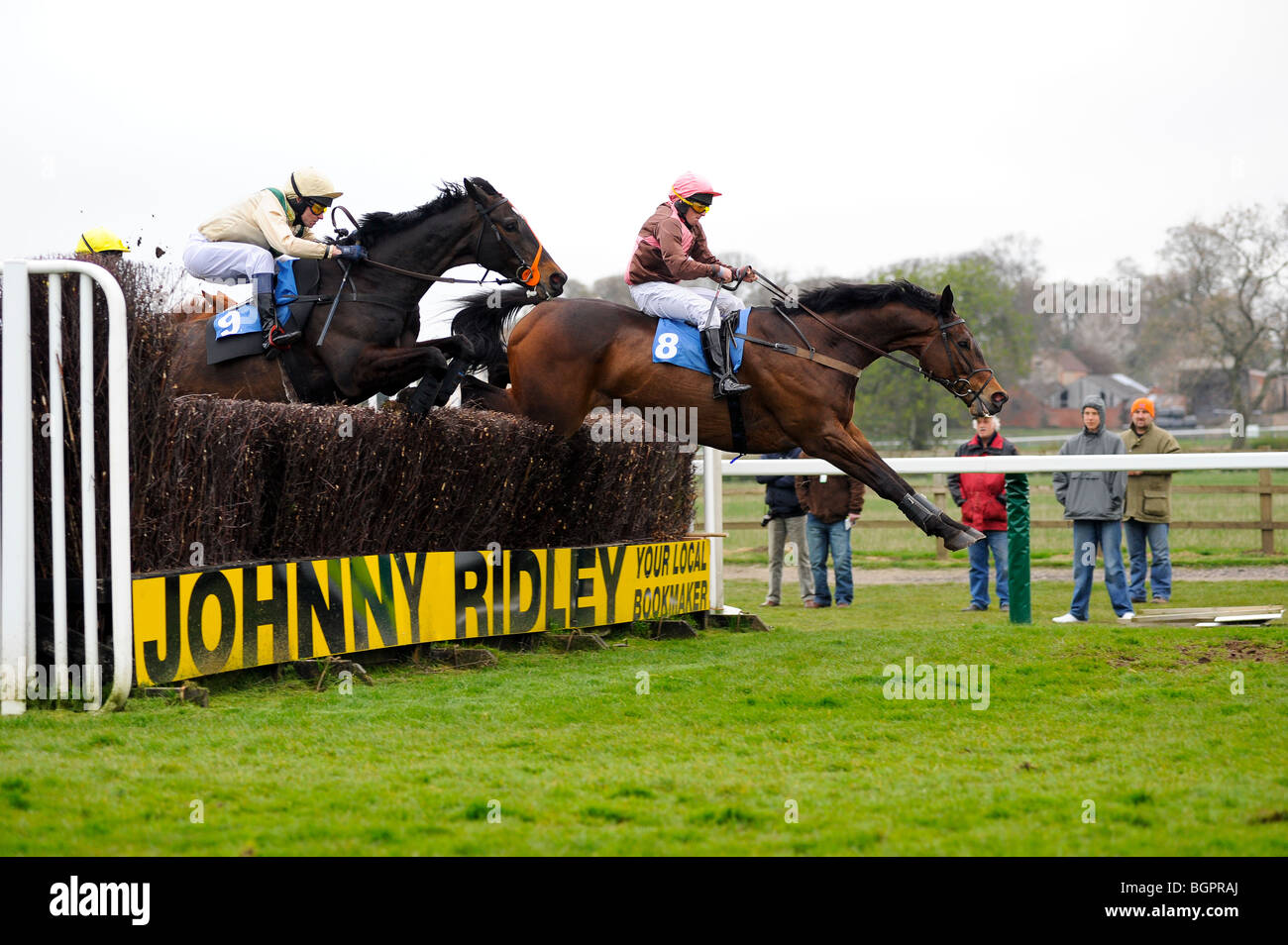 Horse and Jockey jumping last fence Sedgefield national hunt meeting ...